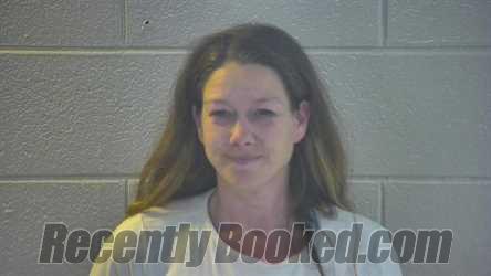 Recent Booking / Mugshot for ELIZABETH SOLDINGER in Pulaski County ...