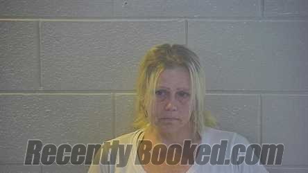 Recent Booking / Mugshot for JEANA JEWELL in Pulaski County, Kentucky