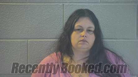 Recent Booking / Mugshot for JESSICA MARIE MARTIN in Pulaski County ...