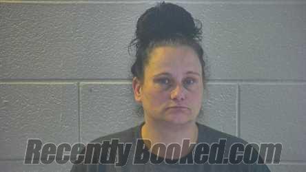 Recent Booking / Mugshot for LISA JANE HOLBROOK in Pulaski County, Kentucky