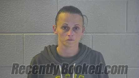 Recent Booking / Mugshot for MERANDA ELIZABETH ASHBURN in Pulaski ...