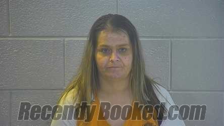 Recent Booking / Mugshot for MISTY MARIE STRINGER in Pulaski County ...