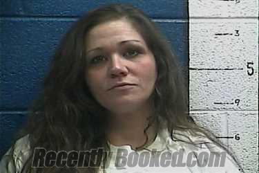 Recent Booking / Mugshot for AMY C COOK in Rockcastle County, Kentucky