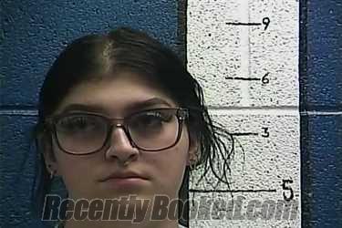 Recent Booking / Mugshot for ERIN S BECRAFT in Rockcastle County, Kentucky