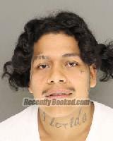 Recent Booking / Mugshot for RENE PINSON in Moore County, North Carolina