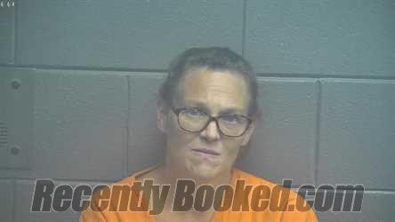 Recent Booking / Mugshot for DANIELLE NICHOLE COOK in Scott County ...