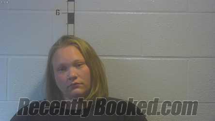 Recent Booking / Mugshot for AMANDA ANN JOHNSON in Shelby County, Kentucky