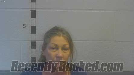 Recent Booking / Mugshot for LORI ANN WILLIAMS LEWIS in Shelby County ...