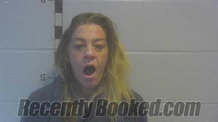 Recent Booking / Mugshot for SARA BETH SIMPSON in Shelby County, Kentucky