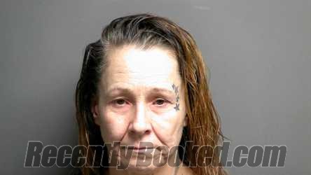 Recent Booking / Mugshot for TONI HICKS in Simpson County, Kentucky