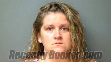 Recent Booking / Mugshot for AMANDA WILSON in Simpson County, Kentucky