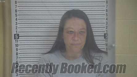 Recent Booking / Mugshot for CANDACE L. ANGLIN in Taylor County, Kentucky