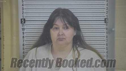 Recent Booking / Mugshot for DONNA F WEILER in Taylor County, Kentucky