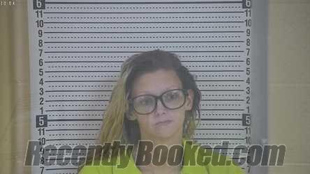 Recent Booking / Mugshot for FELICIA DANIELLE WALLS in Taylor County ...