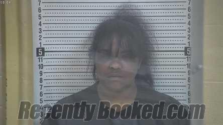 Recent Booking / Mugshot for MIRANDA L SMITH in Taylor County, Kentucky