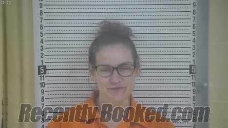 Recent Booking / Mugshot for PATRICIA JAFFE in Taylor County, Kentucky