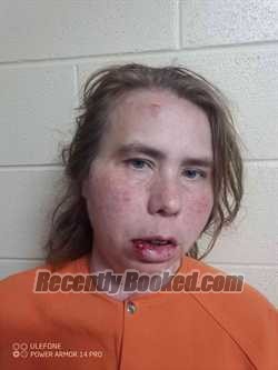 Recent Booking / Mugshot for STEPHANIE HARDIN in Todd County, Kentucky