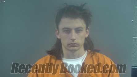 Recent Booking / Mugshot for CASH CHRISTOPHER HANKINS in Warren County ...