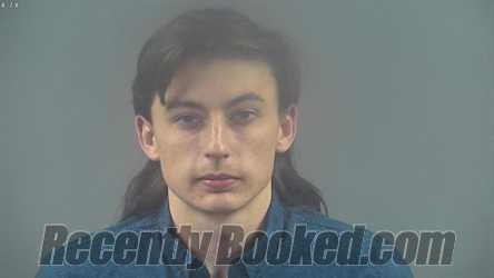 Recent Booking / Mugshot for CASH CHRISTOPHER HANKINS in Warren County ...