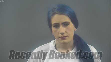 Recent Booking / Mugshot for CHEYENNE RENEE HINES in Warren County ...