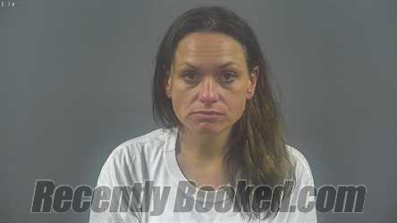 Recent Booking / Mugshot for CHELSEA MARIE MINTON in Warren County ...