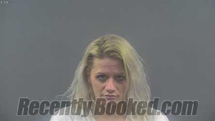 Recent Booking / Mugshot for JAMIE RENEE HOUCHENS in Warren County ...