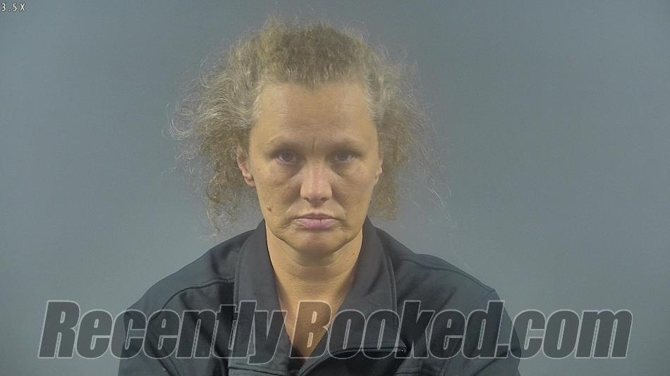 Recent Booking / Mugshot for JULIE ANN MOSIER in Warren County, Kentucky