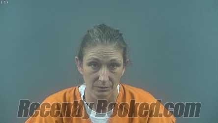 Recent Booking / Mugshot for TARA MICHELLE BLETHEN in Warren County ...