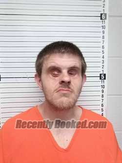 Recent Booking / Mugshot for JAMES TURNER in Wayne County, Kentucky