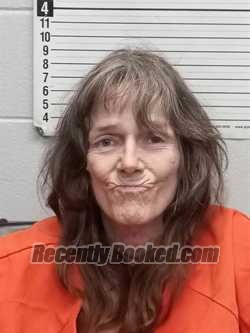 Recent Booking / Mugshot for GINA KENT in Wayne County, Kentucky