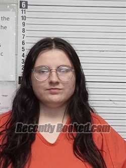 Recent Booking / Mugshot for AMBER REBER in Wayne County, Kentucky