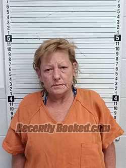 Recent Booking / Mugshot for CONNIE LEWIS in Wayne County, Kentucky