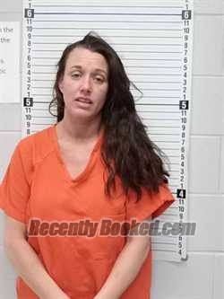 Recent Booking / Mugshot for JESSICA HUDSON in Wayne County, Kentucky