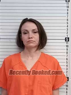 Recent Booking / Mugshot for MONICA ROOD in Wayne County, Kentucky