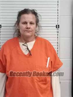 Recent Booking / Mugshot for LOIS STRATTON in Wayne County, Kentucky