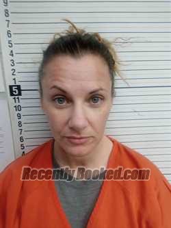 Recent Booking / Mugshot for AIMEE JOHNSON in Wayne County, Kentucky