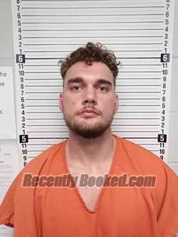 Recent Booking / Mugshot for MICAH DOBBS in Wayne County, Kentucky