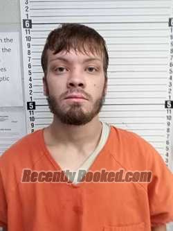 Recent Booking / Mugshot for DICKIE WALLACE in Wayne County, Kentucky