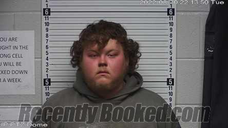 Recent Booking / Mugshot for JEREMIAH BURNETT in Wayne County, Kentucky