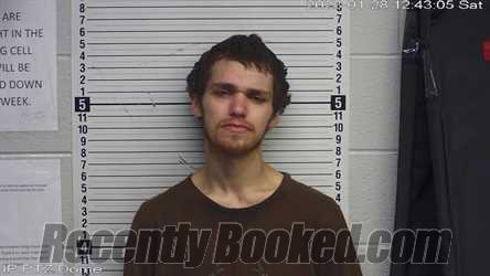 Recent Booking / Mugshot for NATHAN REYNOLDS in Wayne County, Kentucky