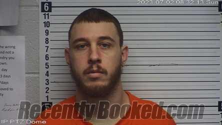 Recent Booking / Mugshot for THOMAS HARBIN in Wayne County, Kentucky
