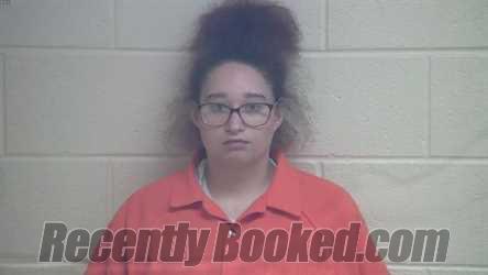 Recent Booking / Mugshot for ALEXIS MARIE PERDUE in Webster County ...