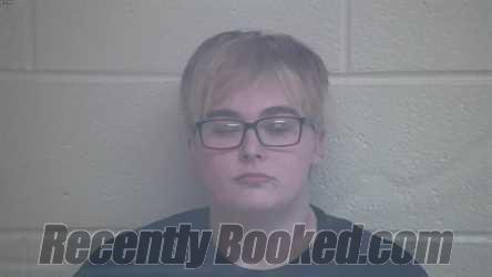 Recent Booking / Mugshot for CHEYENNE MARIE OMER in Webster County ...