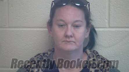 Recent Booking / Mugshot for JENNIFER NICOLE WILSON in Webster County ...