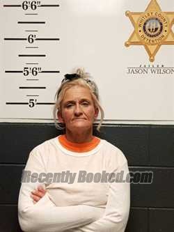 Recent Booking / Mugshot for TINA DAVIS in Whitley County, Kentucky