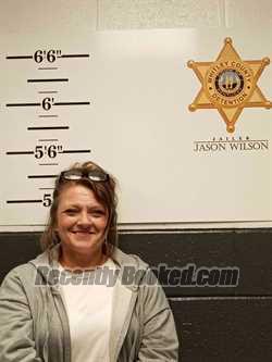 MISTY GIBSON Arrest Record & Booking Info – Whitley County, Kentucky ...