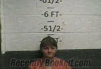 Recent Booking / Mugshot for CAROL BAIRD in Whitley County, Kentucky