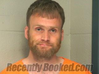 Recent Booking / Mugshot for BRANDON LEE WILSON in Woodford County ...
