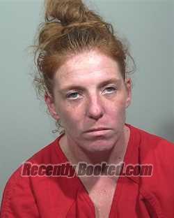 Recent Booking / Mugshot for Megan Marie Hamilton in Cumberland County ...