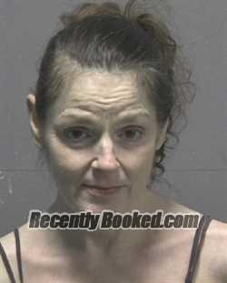Recent Booking / Mugshot for SARAH LEE SHULER in New Hanover County ...